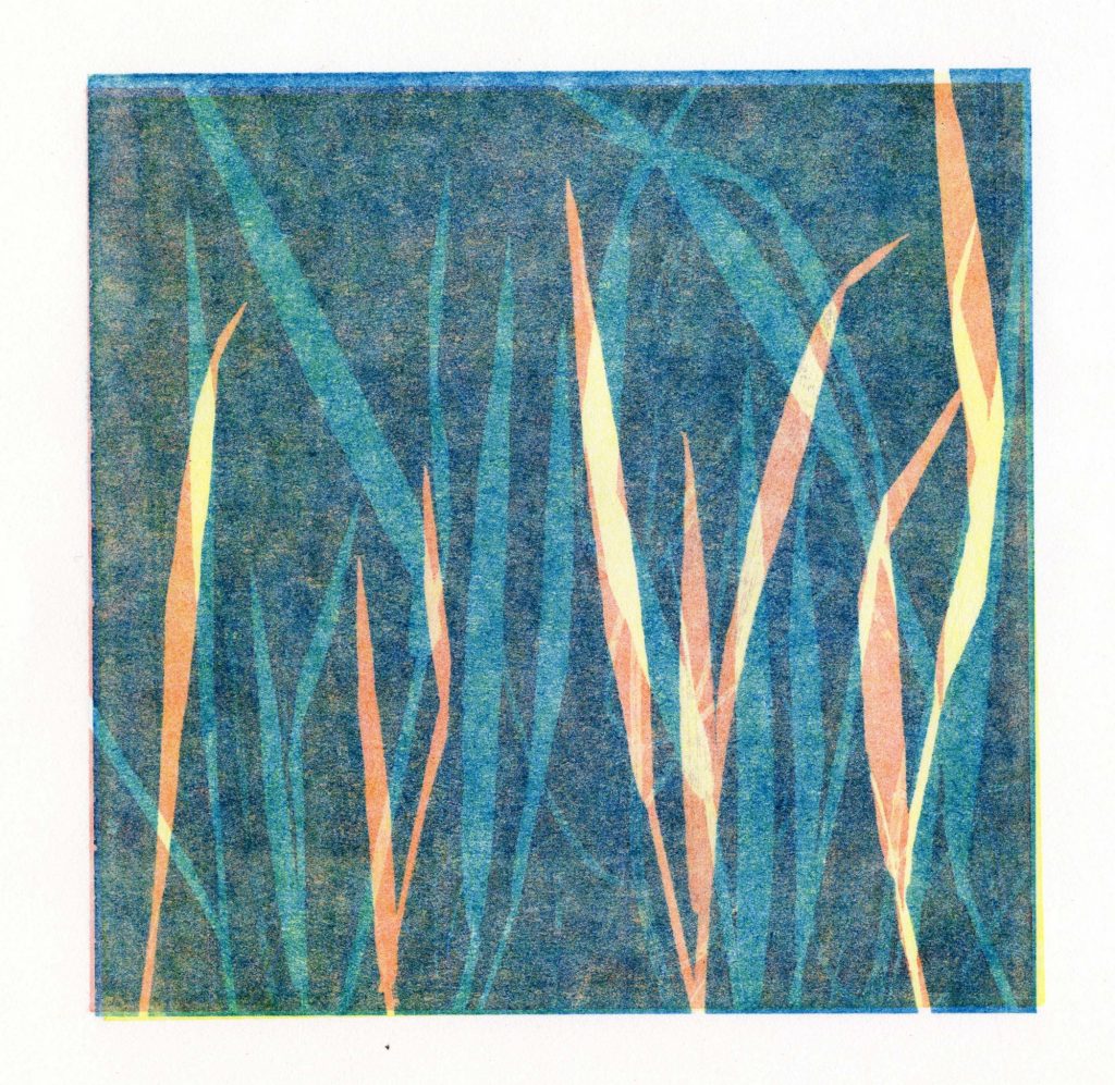 Sian Barlow | Exploring Reduction Monotype | 19 February | Swansea ...