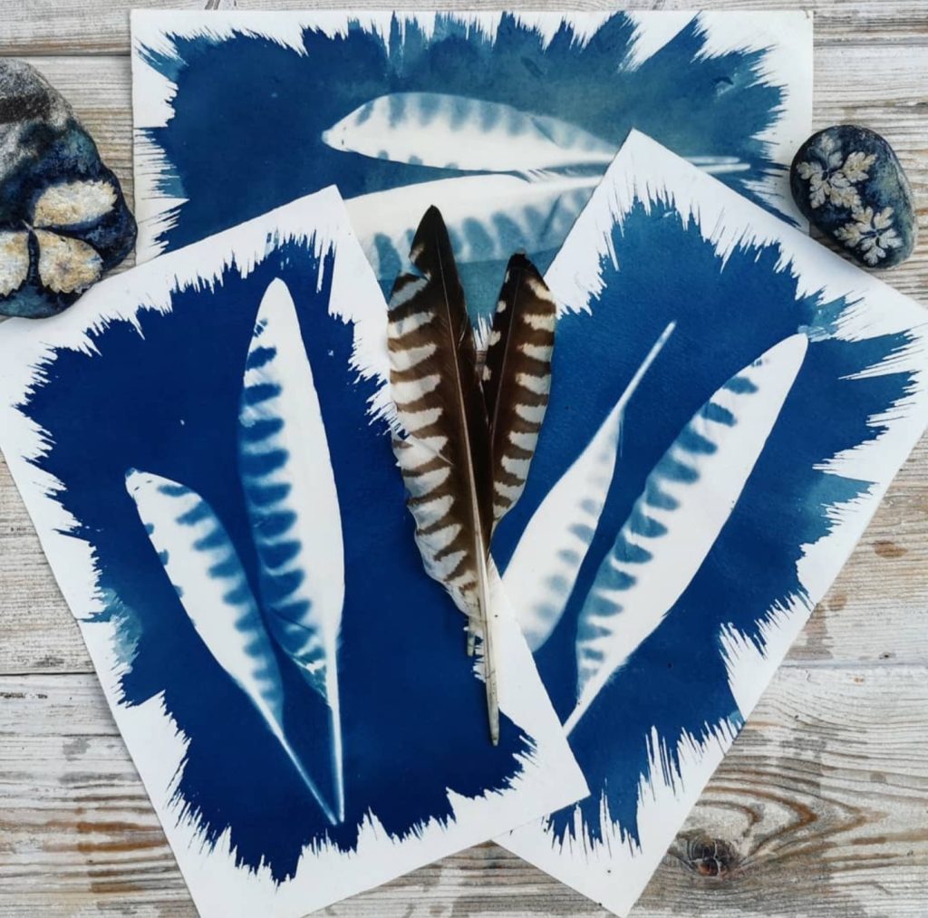 Introducing cyanotype | Nathalie Stone | August 27 2023 | Swansea Print ...