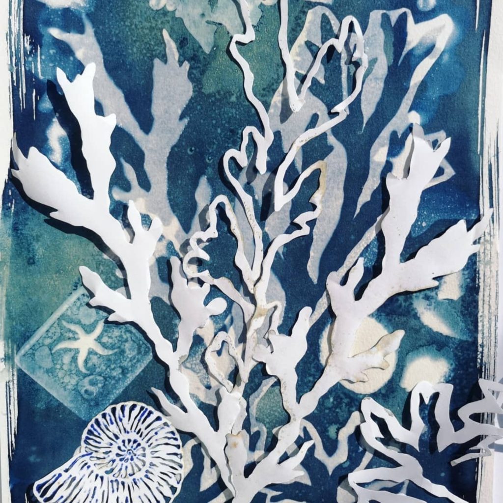Introducing cyanotype | Nathalie Stone | August 27 2023 | Swansea Print ...